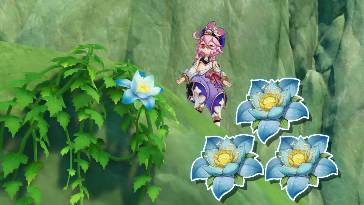 Rute Farming Kalpalata Lotus Genshin Impact