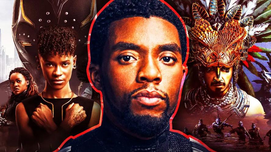 Inilah Alasan T'Challa Meninggal Akibat Penyakit di Black Panther ...